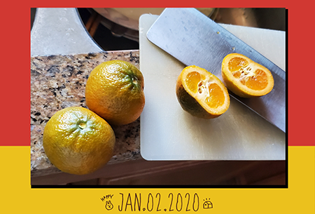 Murcott Mandarin – Christina Woo